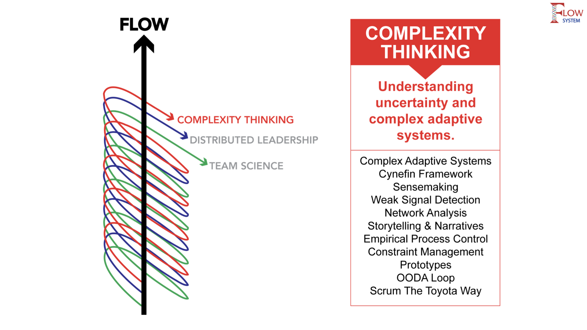 Complexity Thinking Resources Index – The Flow System