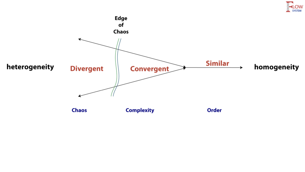 Complexity Thinking Workbook – The Flow System