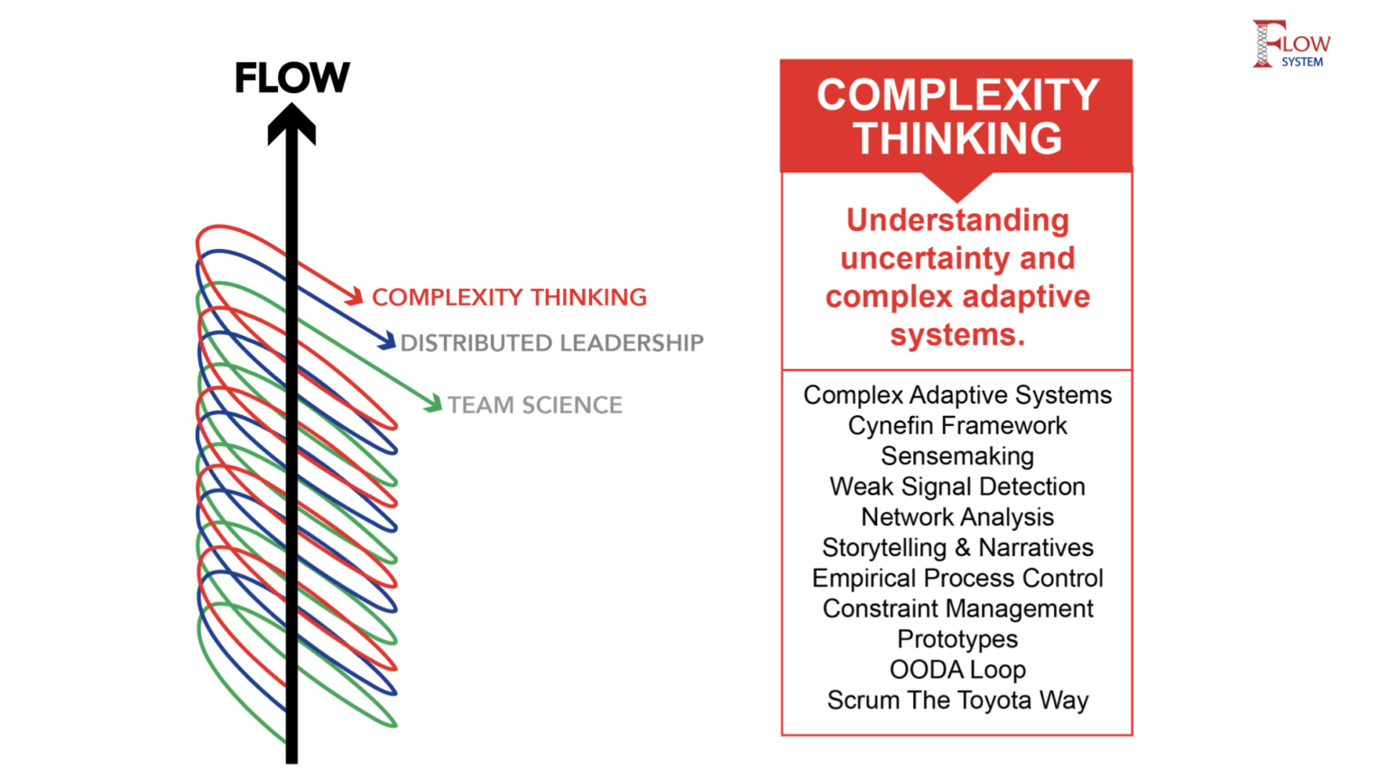 Complexity Thinking Resources Index – The Flow System